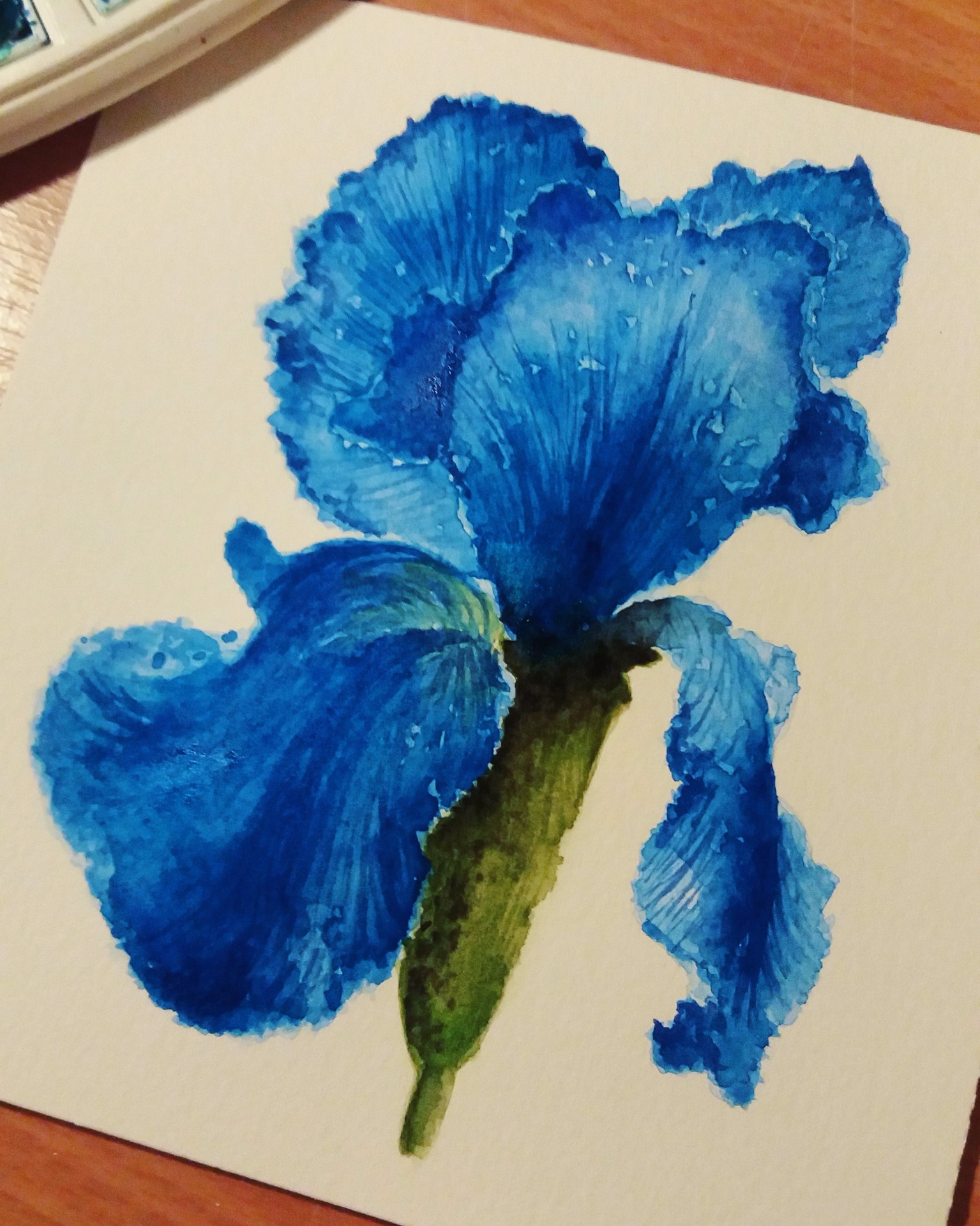 Galerie :: Kristynart